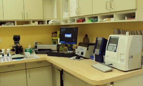 Pet Laboratory In Austin, TX | Circle C Animal Hospital